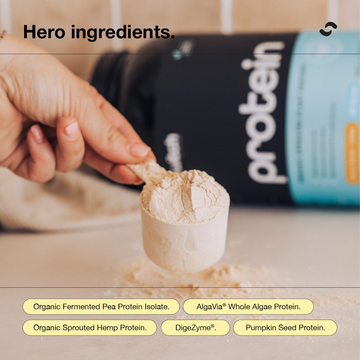 Protein Switch | Organic Vegan Blend | Added Digestive Enzymes | No ...